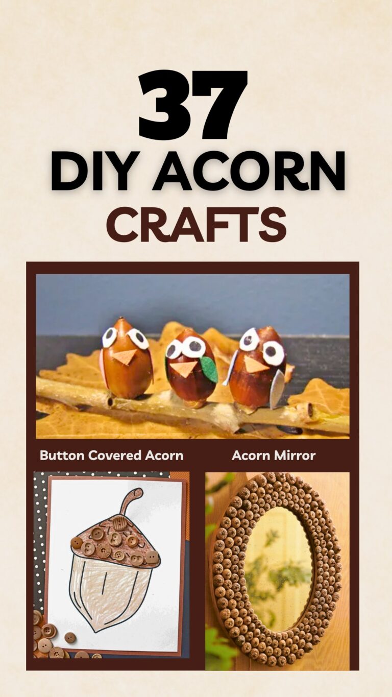 35+ Acorn Craft Ideas for Kids