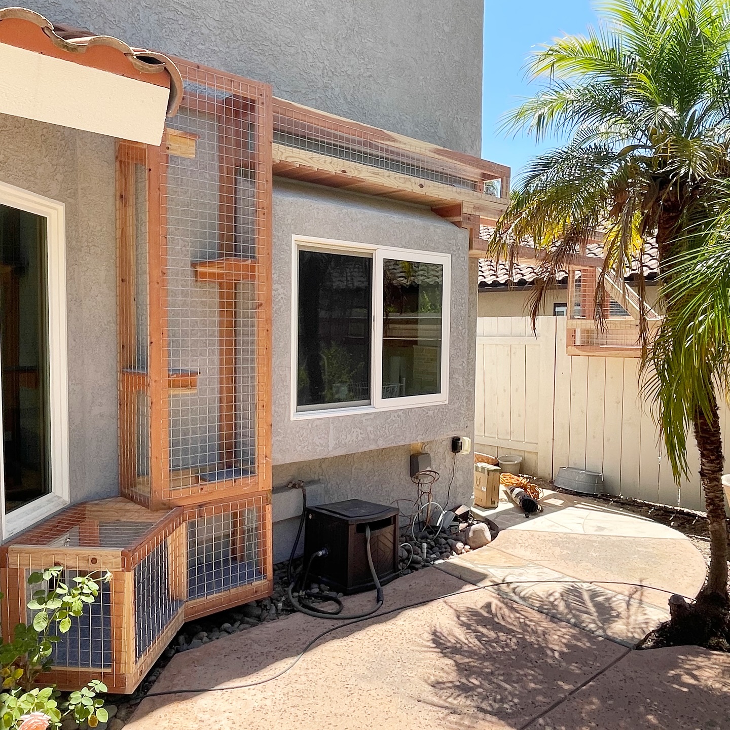 25+ Cat Enclosure Ideas That Boost Safety, Enrichment, and Outdoor Freedom