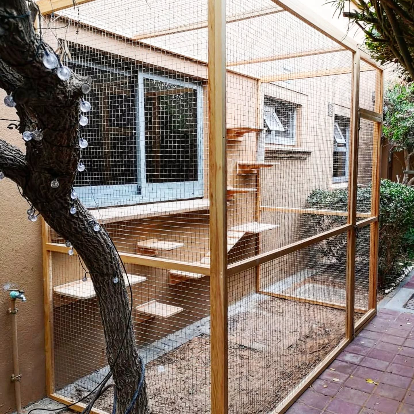 25+ Cat Enclosure Ideas That Boost Safety, Enrichment, and Outdoor Freedom