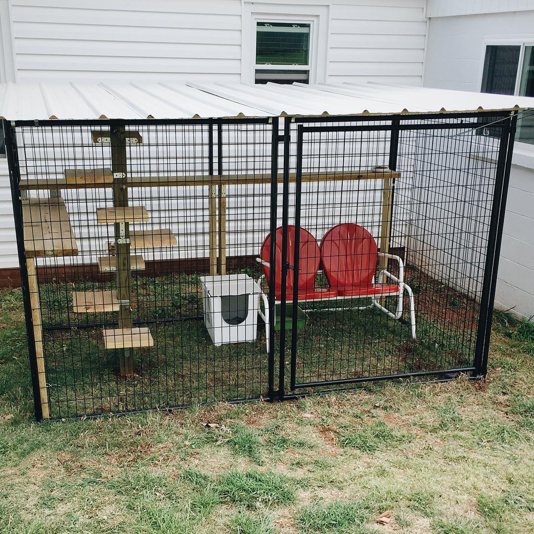 25+ Cat Enclosure Ideas That Boost Safety, Enrichment, and Outdoor Freedom