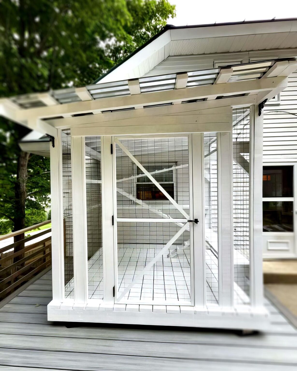 25+ Cat Enclosure Ideas That Boost Safety, Enrichment, and Outdoor Freedom