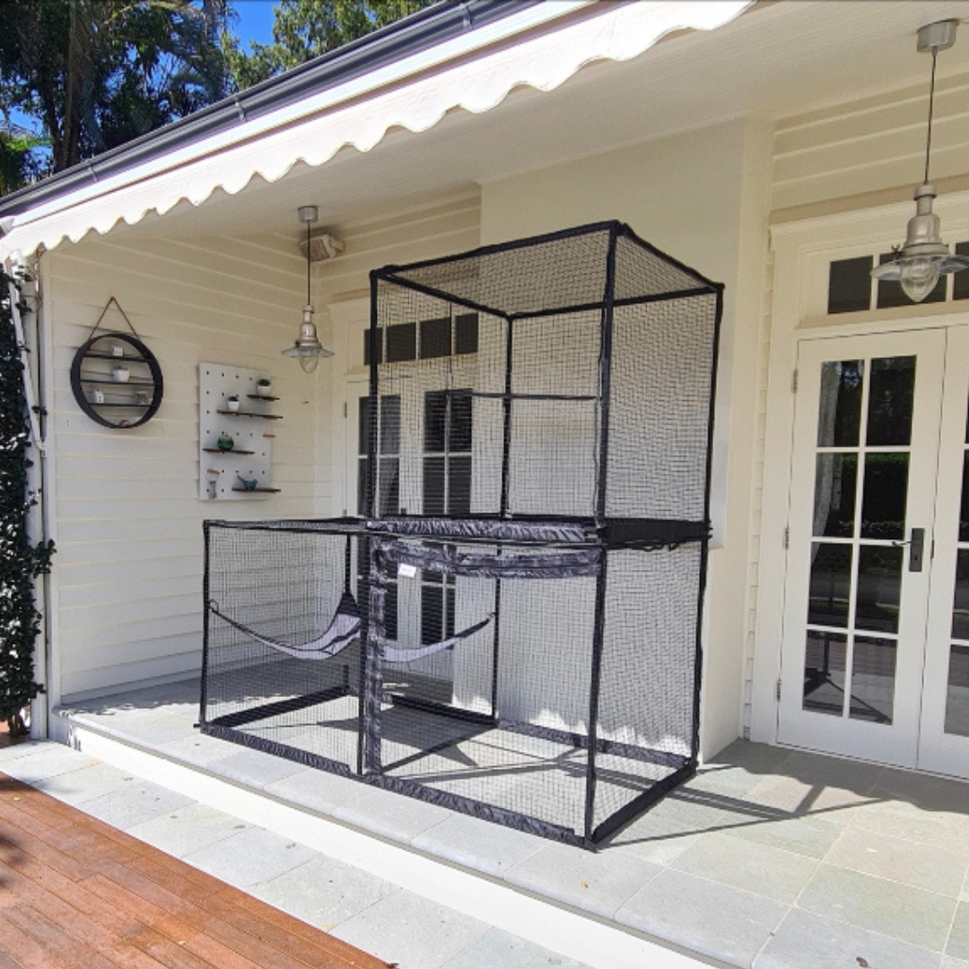 25+ Cat Enclosure Ideas That Boost Safety, Enrichment, and Outdoor Freedom