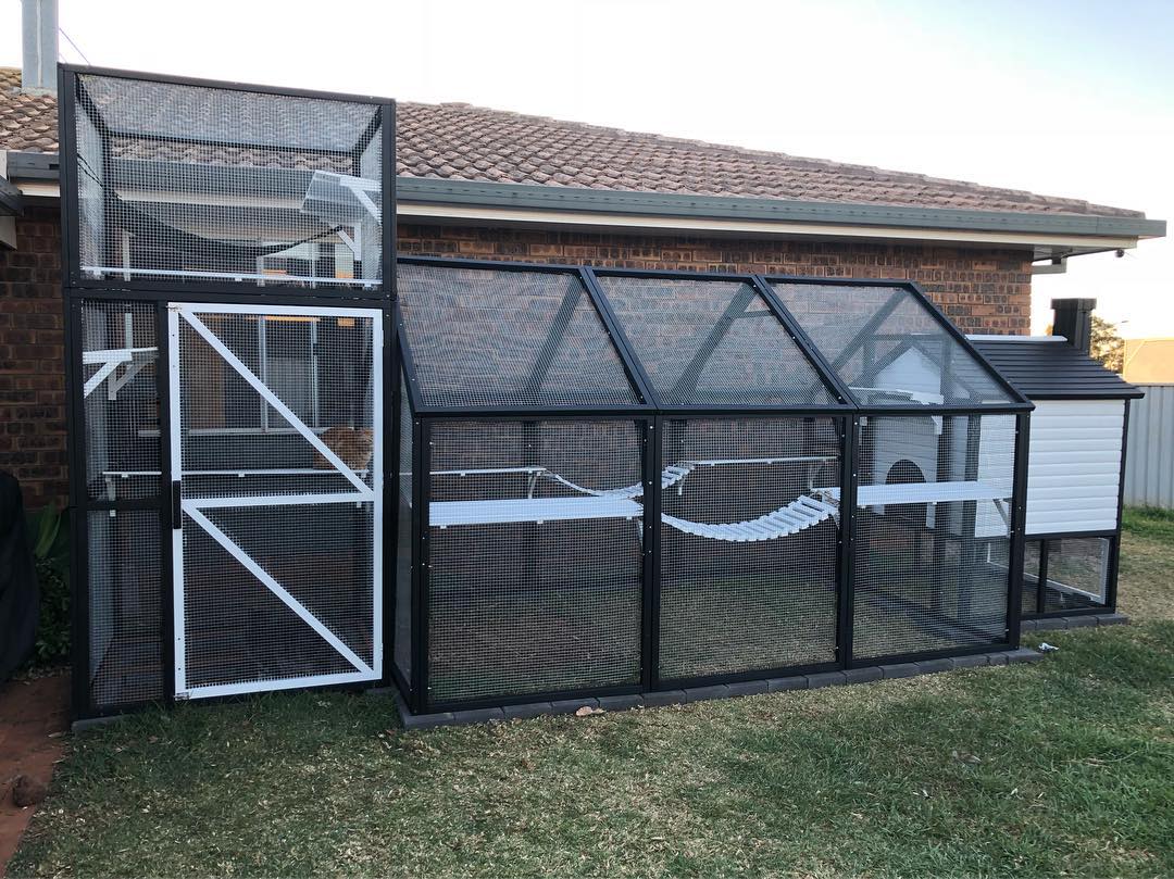 25+ Cat Enclosure Ideas That Boost Safety, Enrichment, and Outdoor Freedom