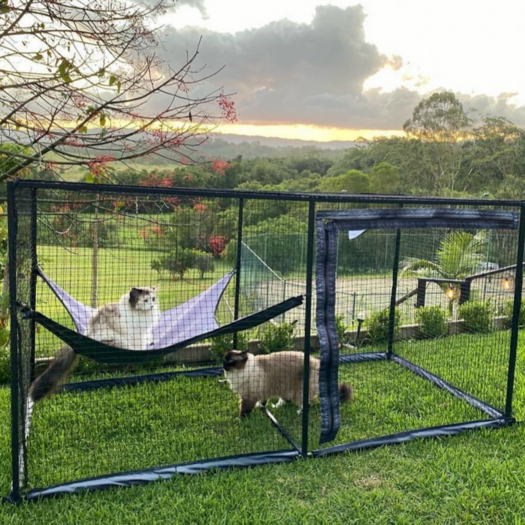 25+ Cat Enclosure Ideas That Boost Safety, Enrichment, and Outdoor Freedom