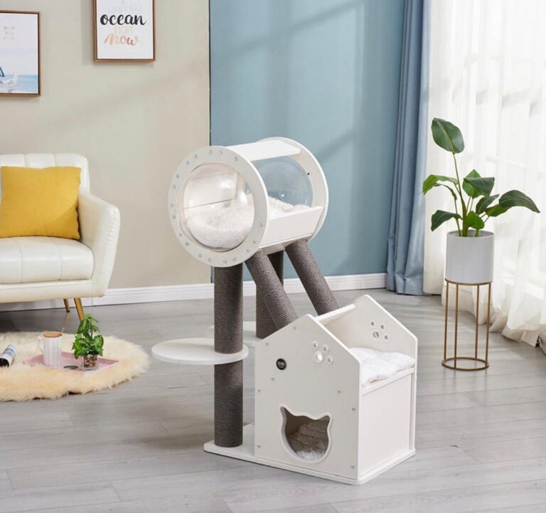 25+ Cat House Ideas for Indoor & Outdoor Spaces: Functional Designs ...