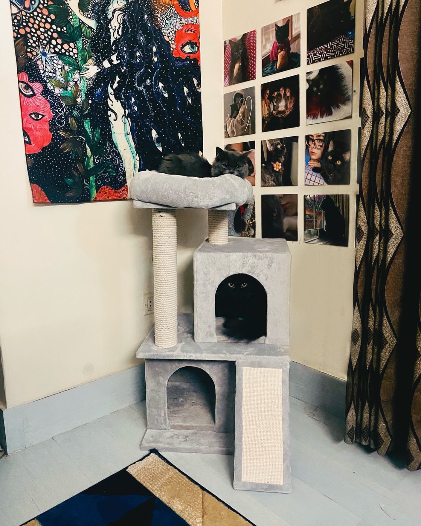 25+ Cat House Ideas for Indoor & Outdoor Spaces: Functional Designs ...