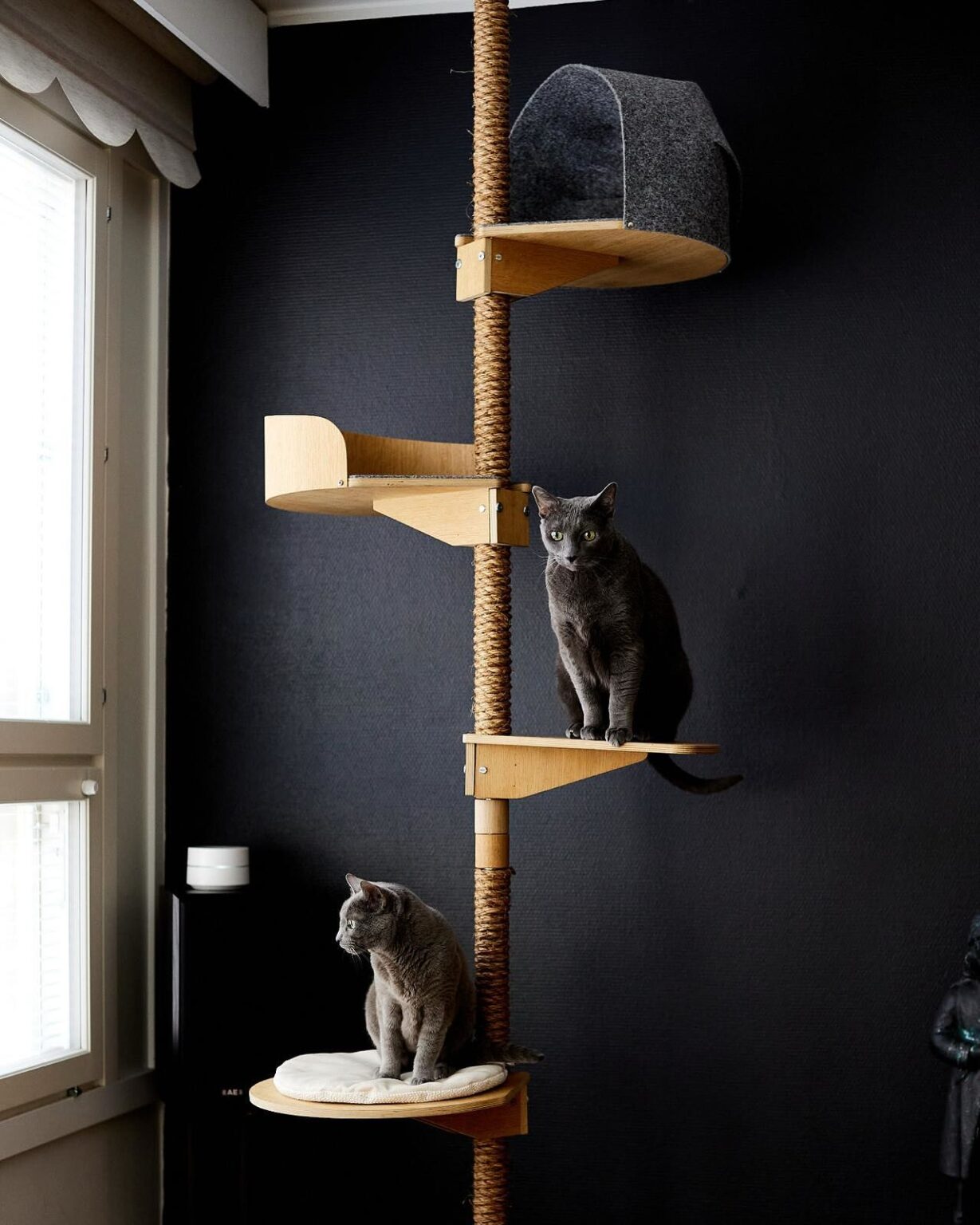 25+ Cat House Ideas for Indoor & Outdoor Spaces: Functional Designs ...