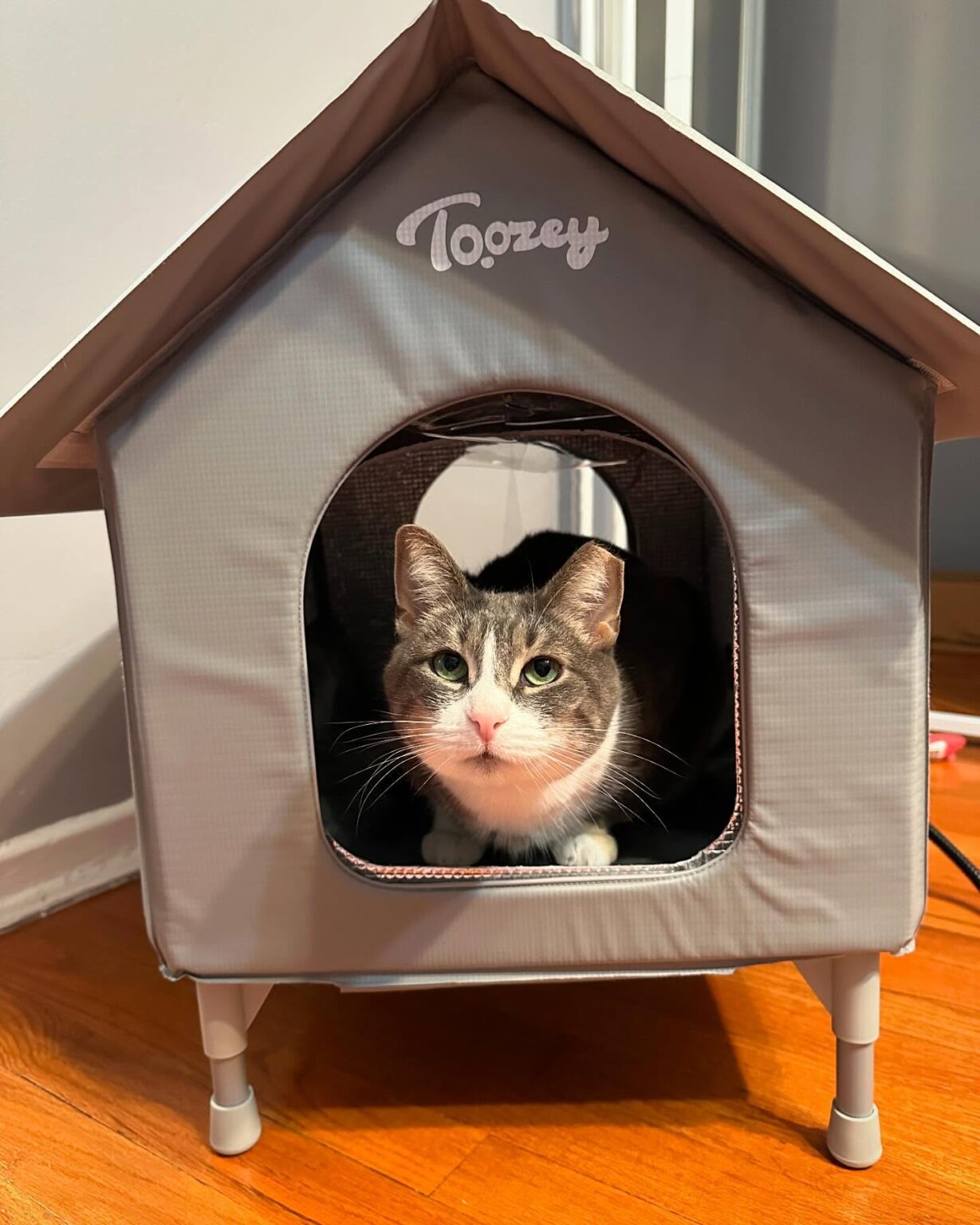 25+ Cat House Ideas for Indoor & Outdoor Spaces: Functional Designs ...