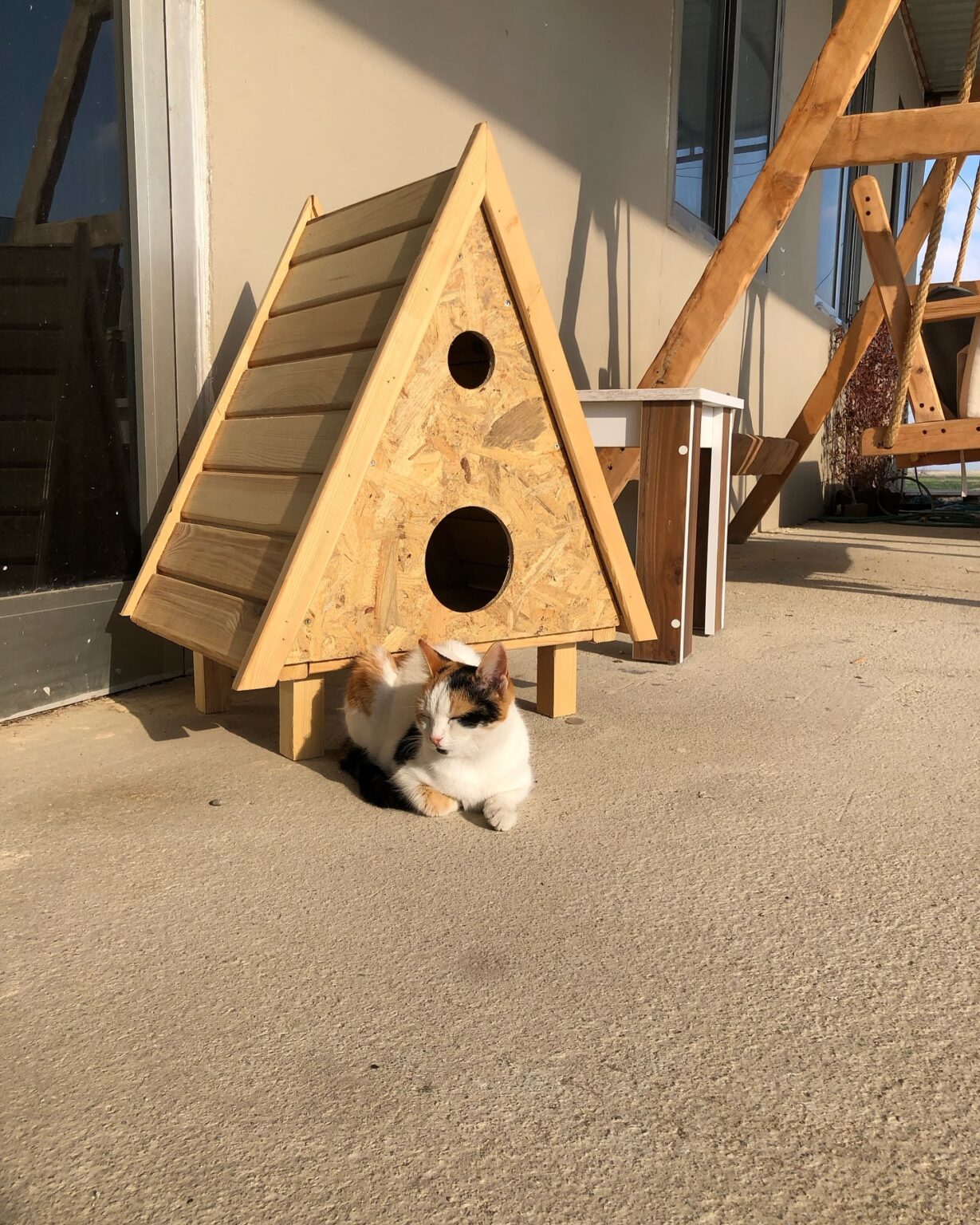 25+ Cat House Ideas for Indoor & Outdoor Spaces: Functional Designs ...