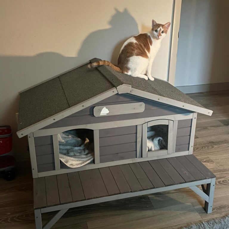 25+ Cat House Ideas for Indoor & Outdoor Spaces: Functional Designs ...