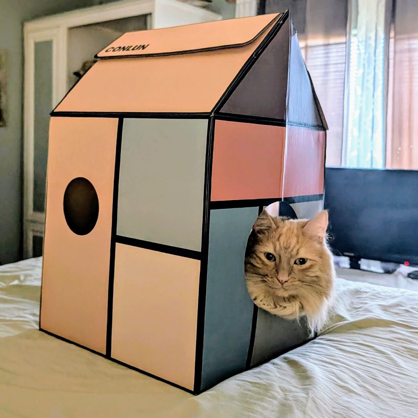 25+ Cat House Ideas for Indoor & Outdoor Spaces: Functional Designs ...