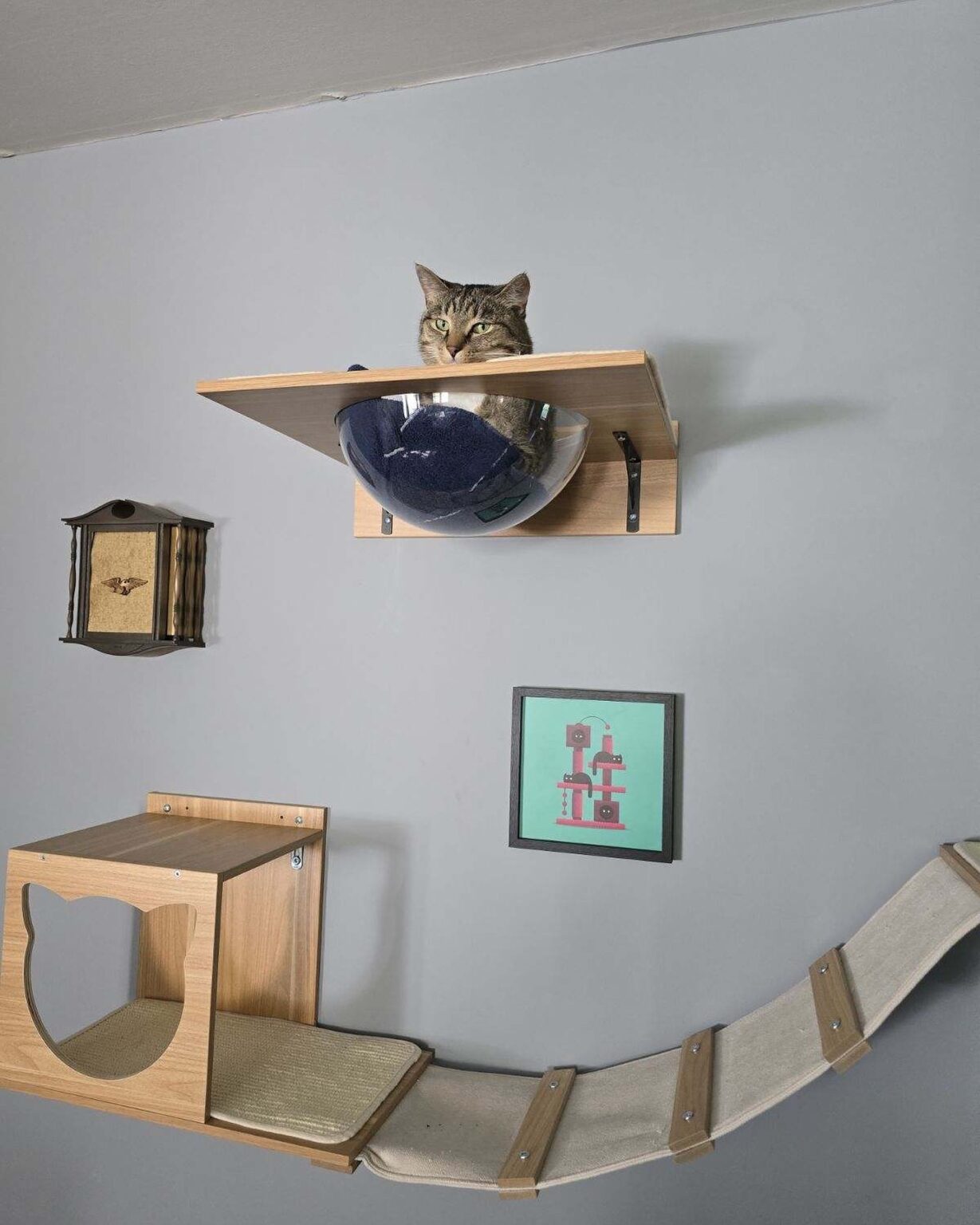 25+ DIY and Budget-Friendly Cat Wall Shelf Ideas to Create a Cat ...