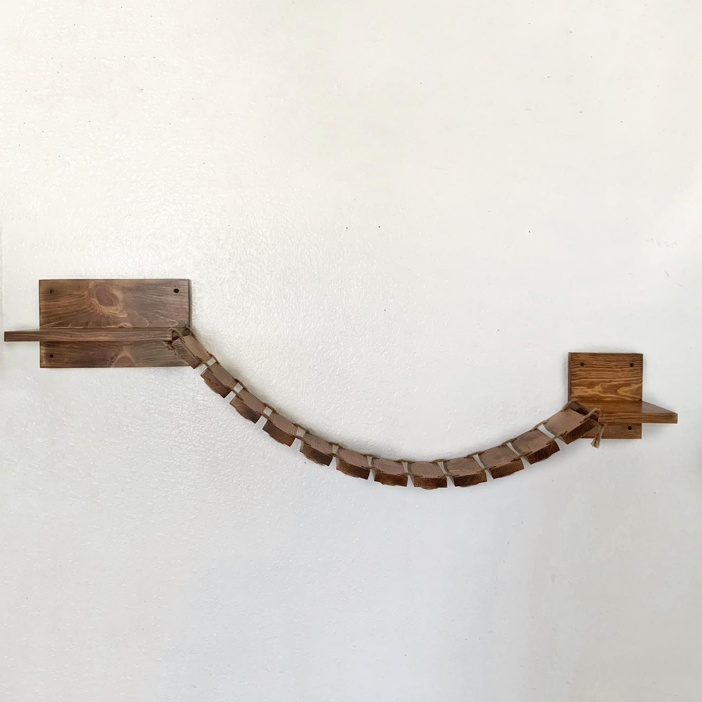 Creative Cat Walkways & Bridge Ideas: 25+ Functional Designs for Active ...