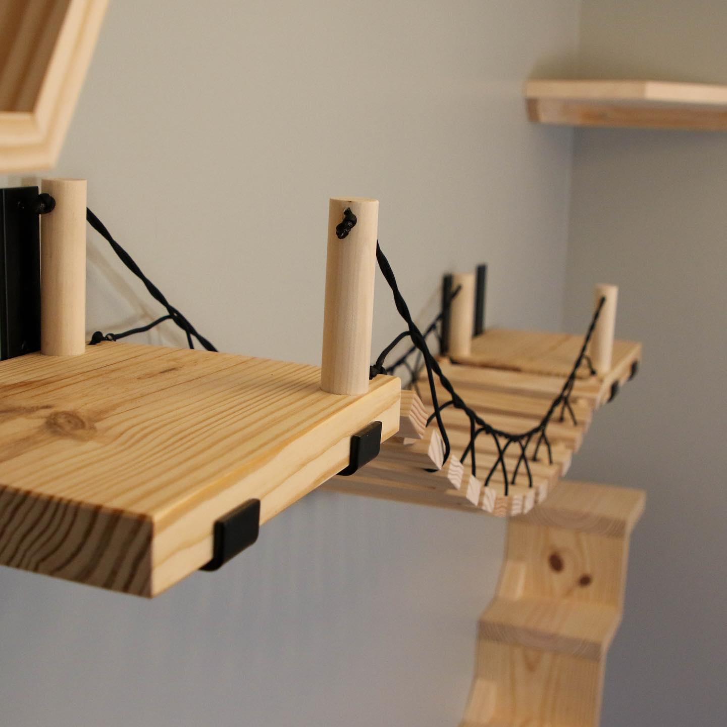 Creative Cat Walkways & Bridge Ideas: 25+ Functional Designs for Active ...