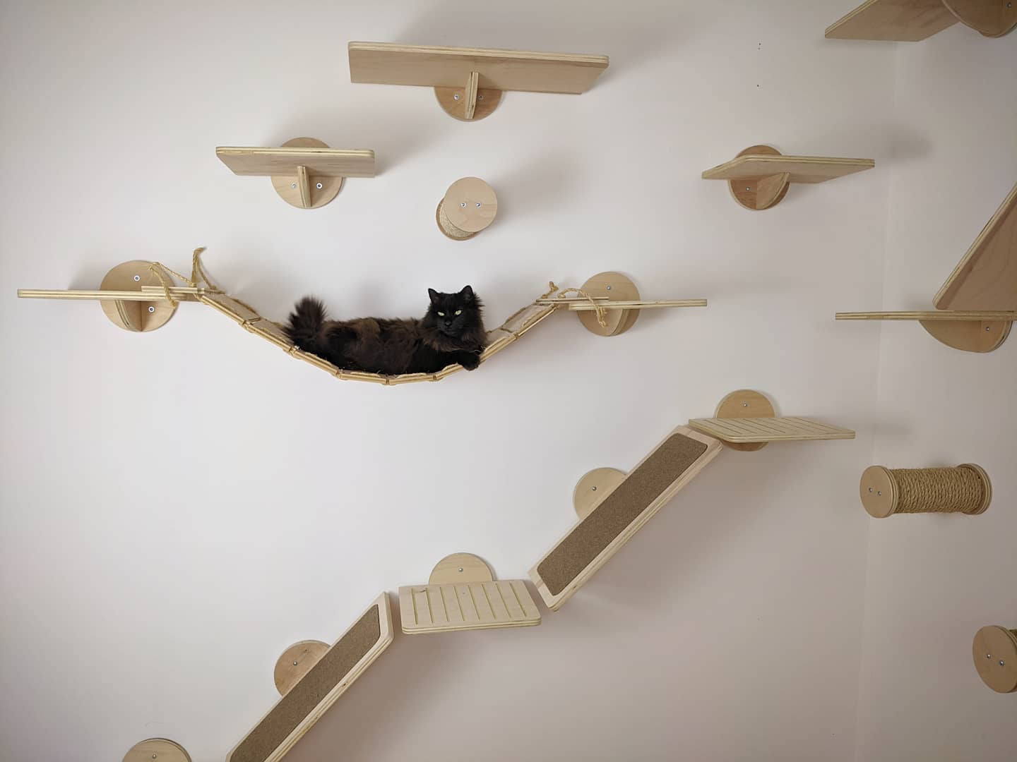 Creative Cat Walkways & Bridge Ideas: 25+ Functional Designs for Active ...